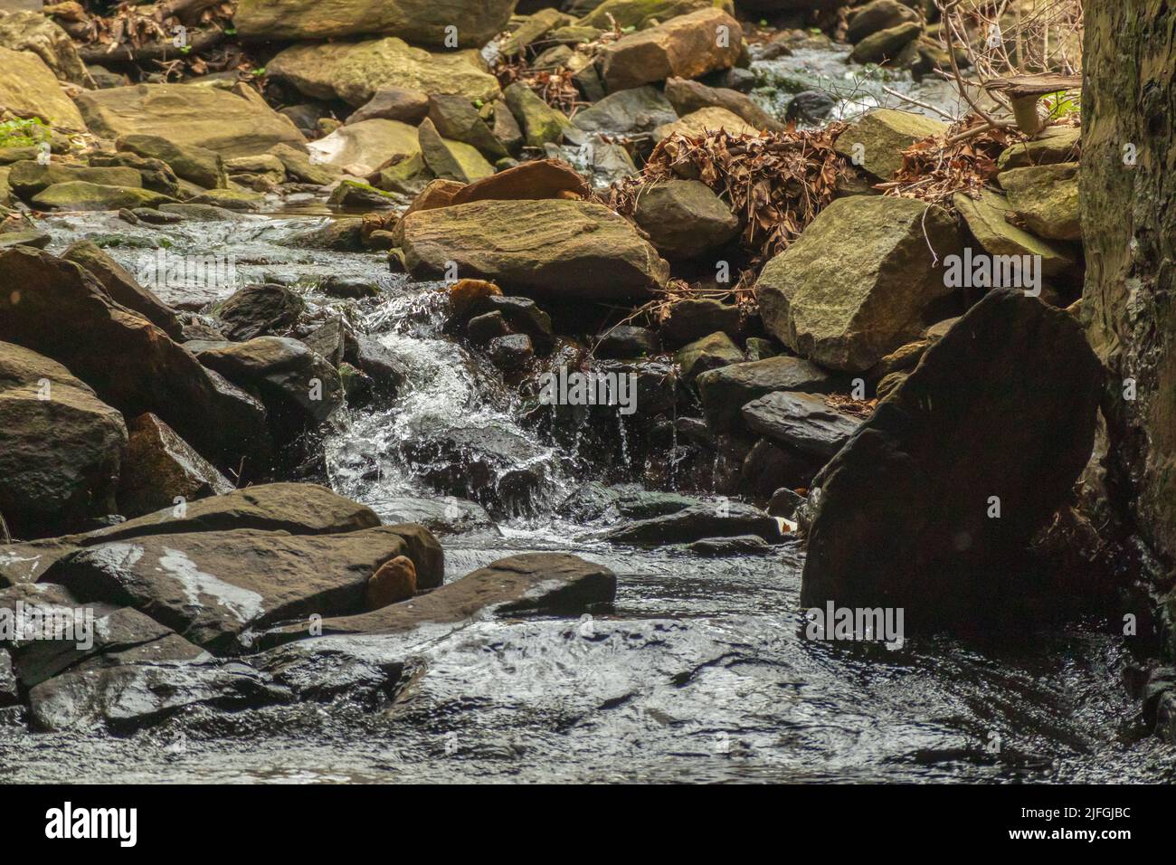 A river flowing through rocks covered with moss in a forest in ...