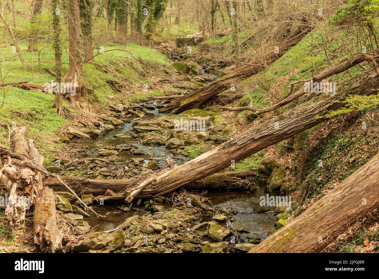 A river flowing through rocks covered with moss and fallen tree logs in ...