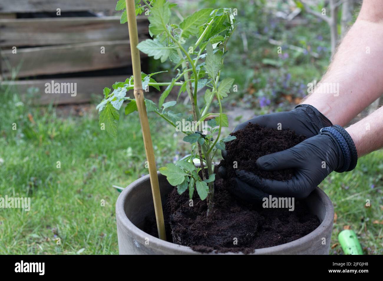 Closeup pouring flower soil hi-res stock photography and images - Alamy
