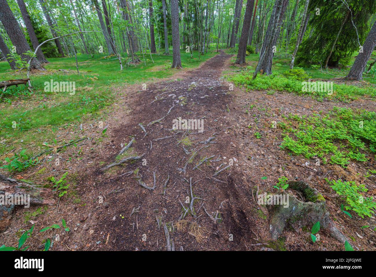 Rocky soil garden hi-res stock photography and images - Alamy