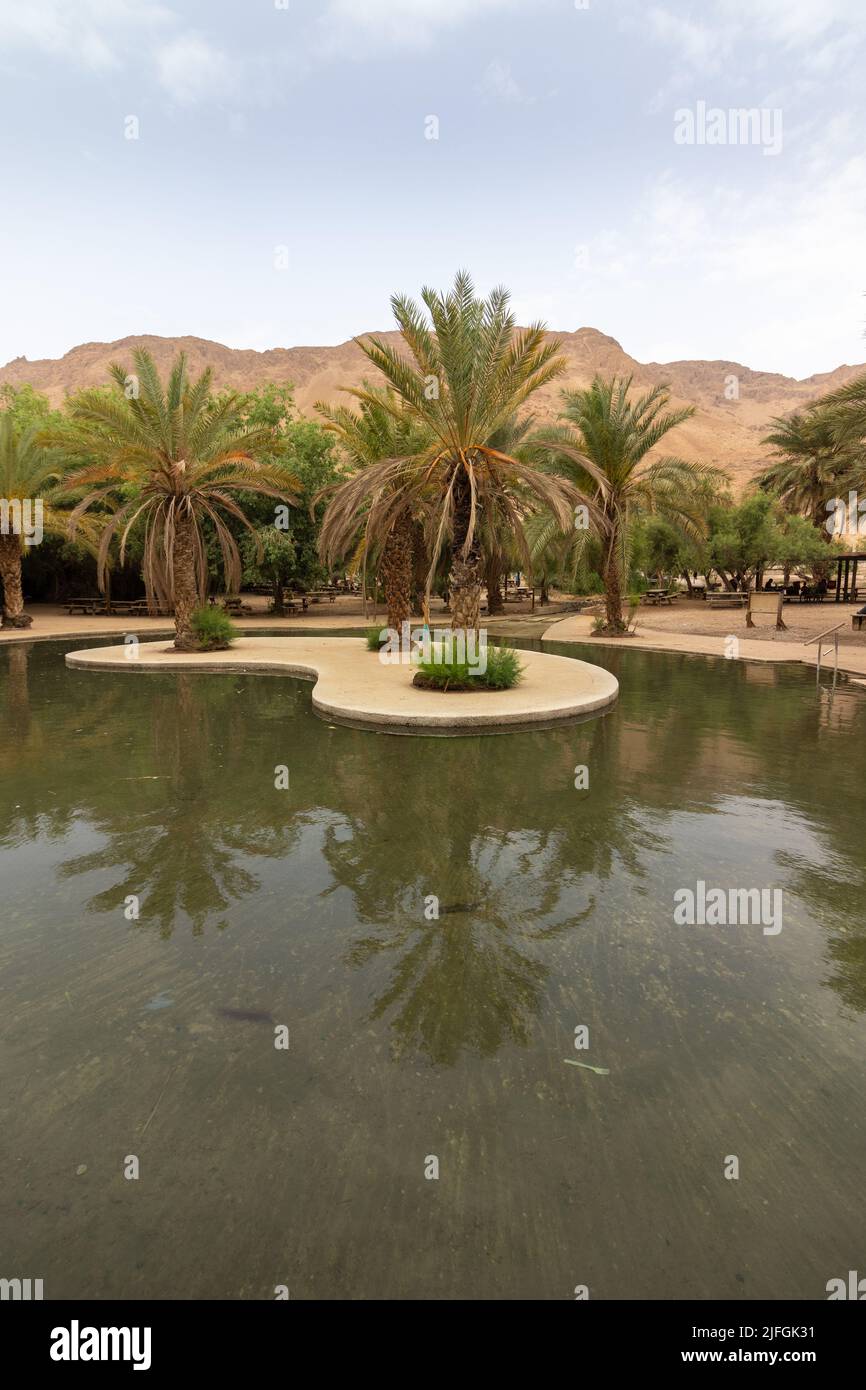 The beautiful pool is full of clear water in the center of the Einot ...