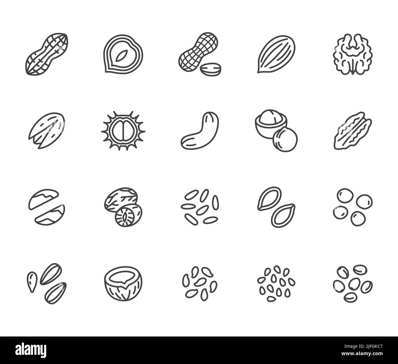 Nuts flat line icons set. Peanut, almond, chestnut, macadamia, cashew ...