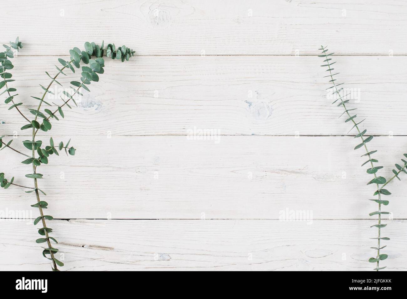 Spring plant over white wooden background Stock Photo - Alamy