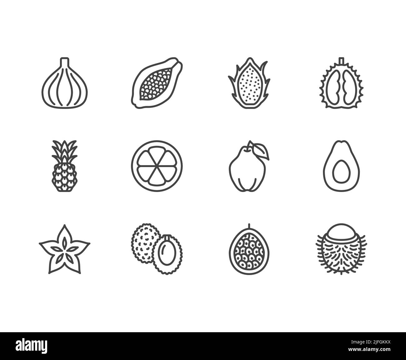 Exotic fruits, berry flat line icon set. Papaya, dragon fruit, rambutan ...