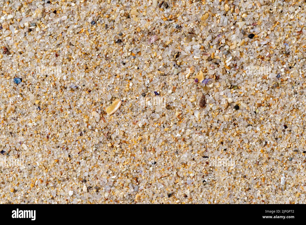 Dry sea sand macro texture. Sand smooth surface on the beach closeup ...