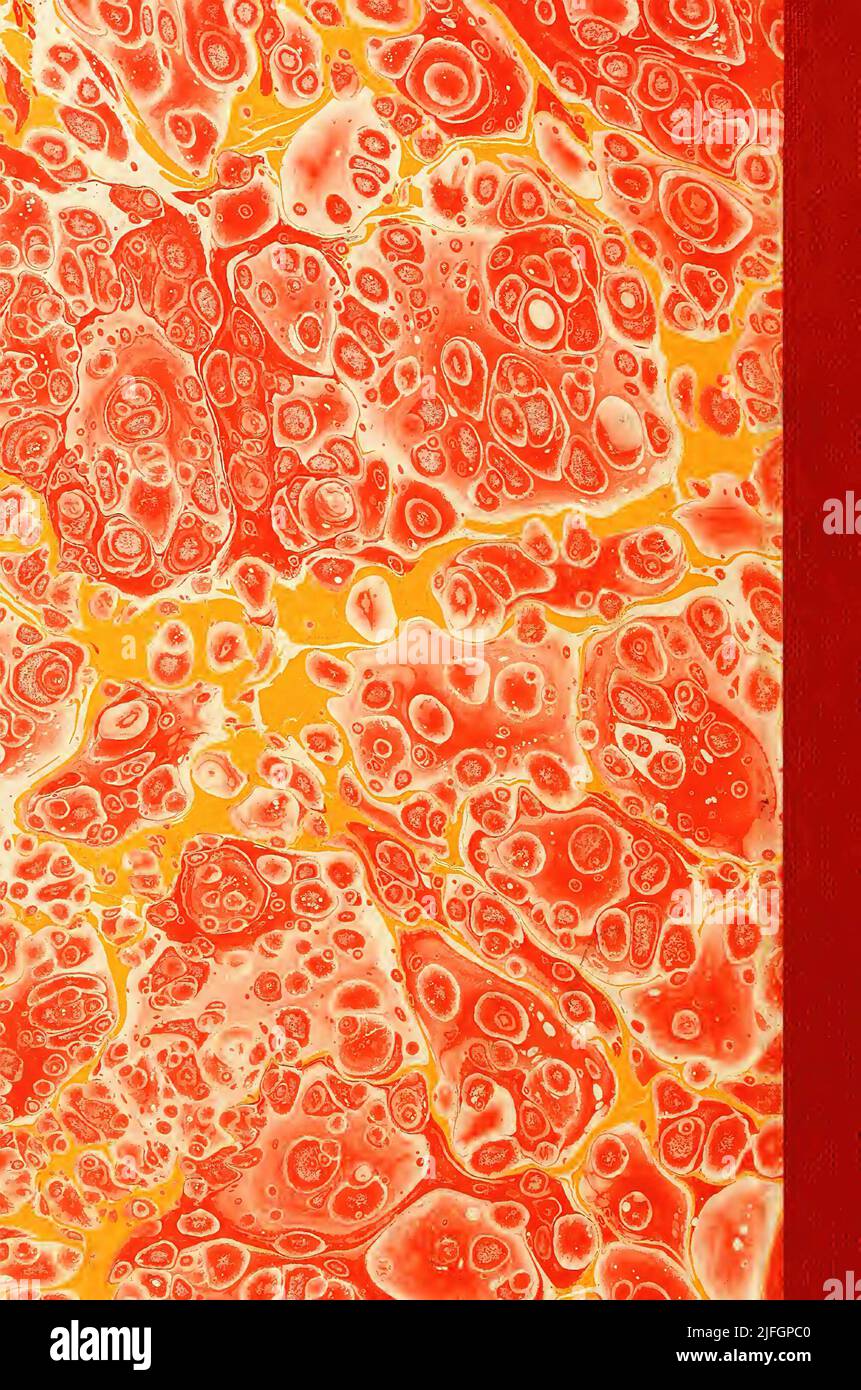 A vertical closeup shot of a 19th-century vintage antique marbled book ...