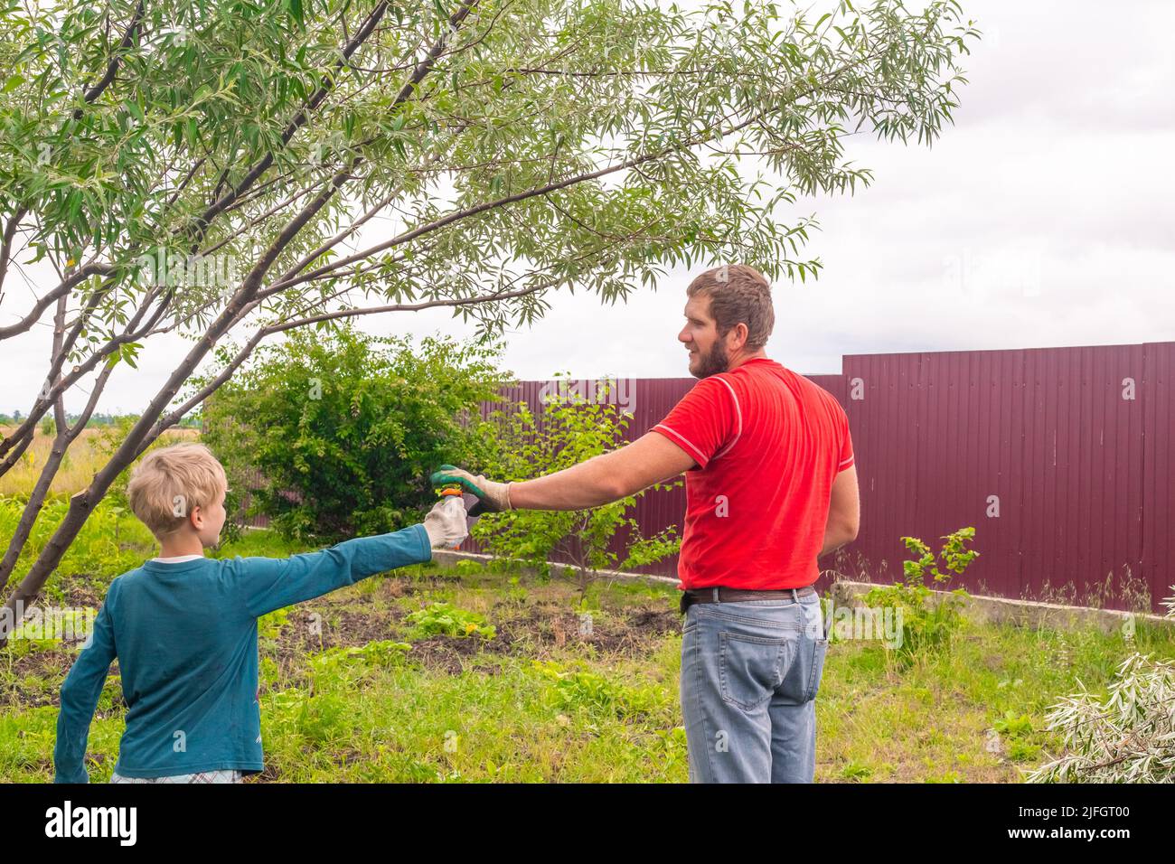 The son helps his father in the garden. A boy gives a saw to a man for ...