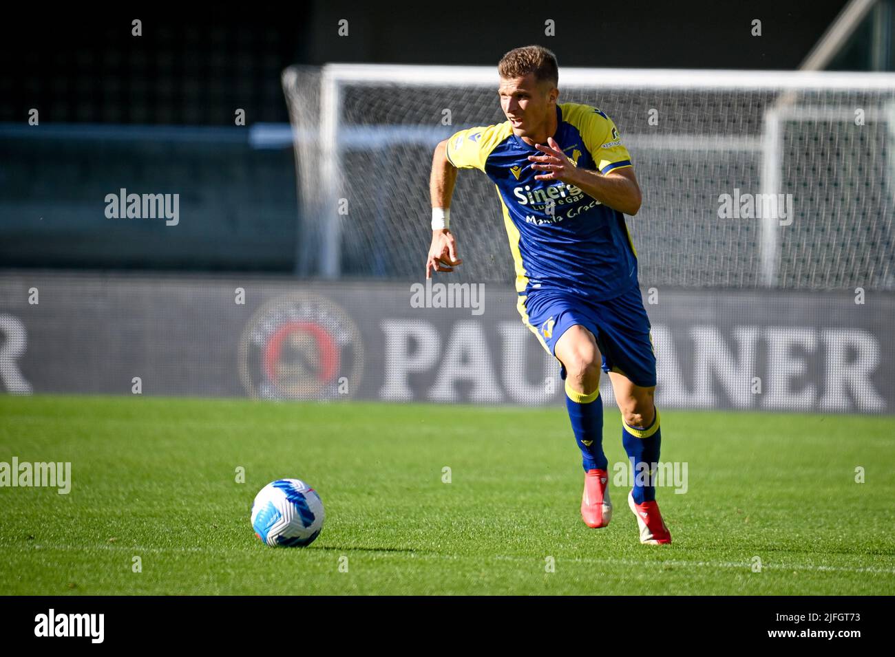 Darko lazovic portrait hi-res stock photography and images - Alamy