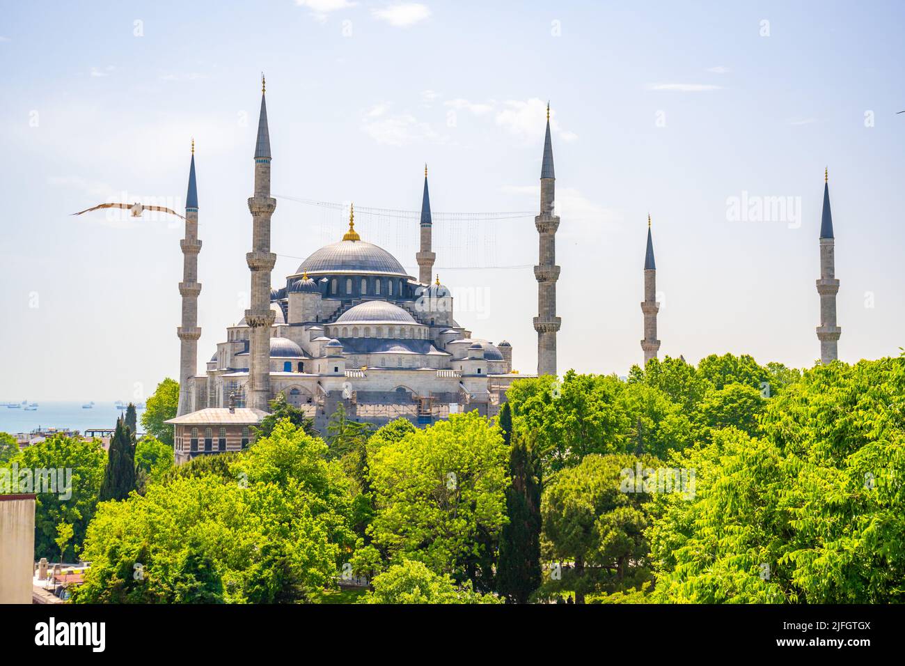 The Sultanahmet Mosque or Blue Mosque in old town of Istanbul, Turkey ...
