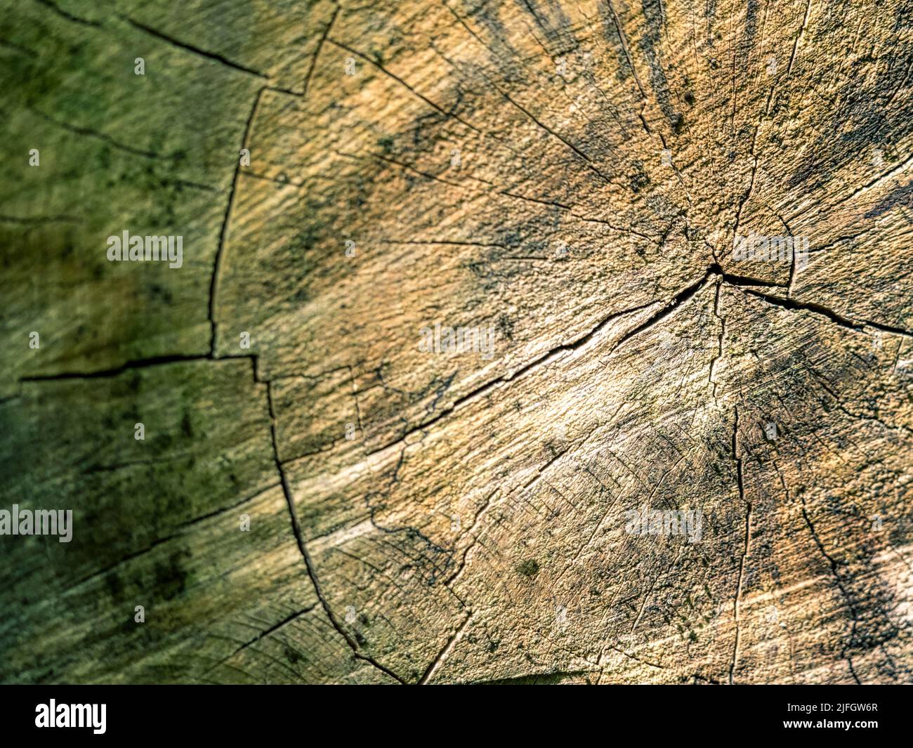 Discoloration of wood hi-res stock photography and images - Alamy