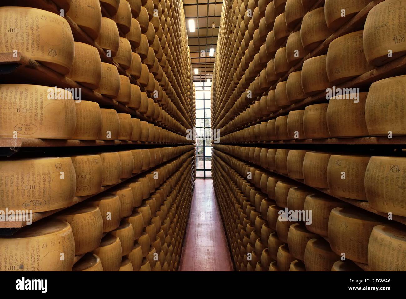 Thousands of forms of Parmigiano Reggiano in the largest Parmesan ...