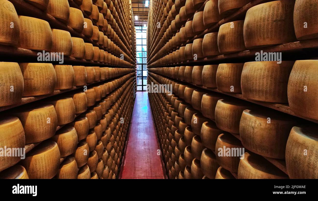 Thousands of forms of Parmigiano Reggiano in the largest Parmesan ...