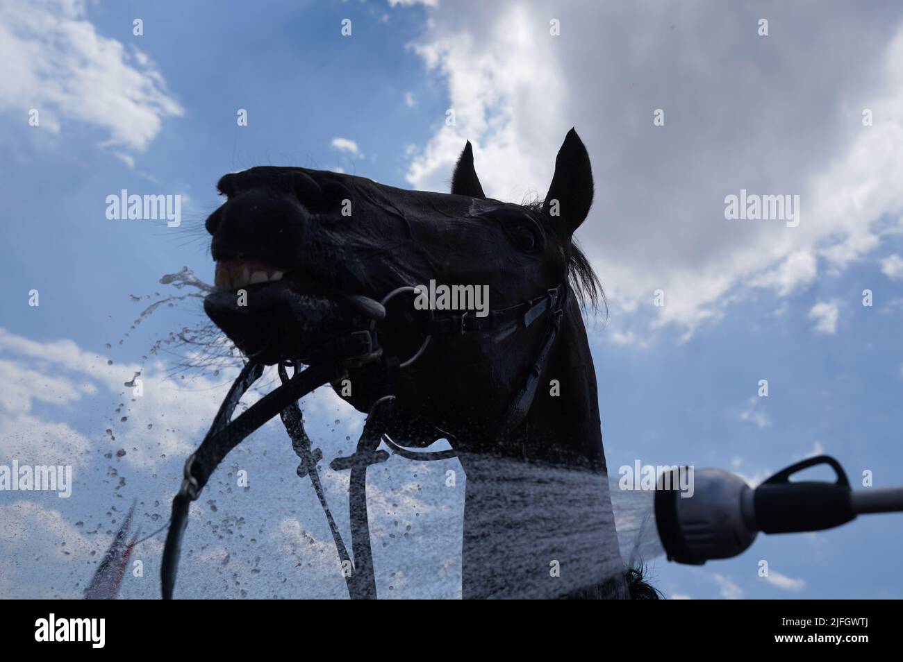 Hamburg, Germany. 03rd July, 2022. Horse racing: Gallop, 153rd German ...