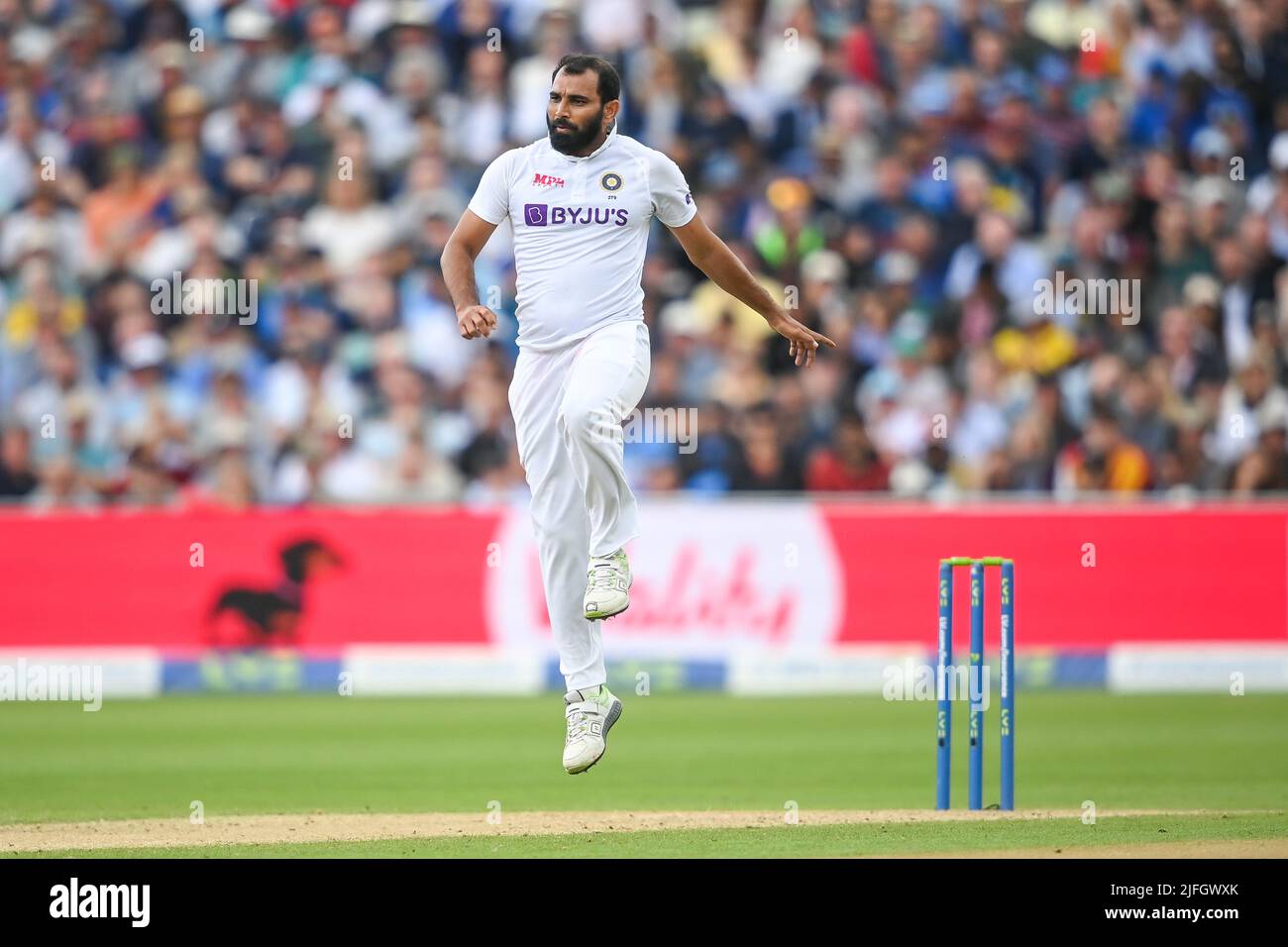 Shami test hi-res stock photography and images - Alamy