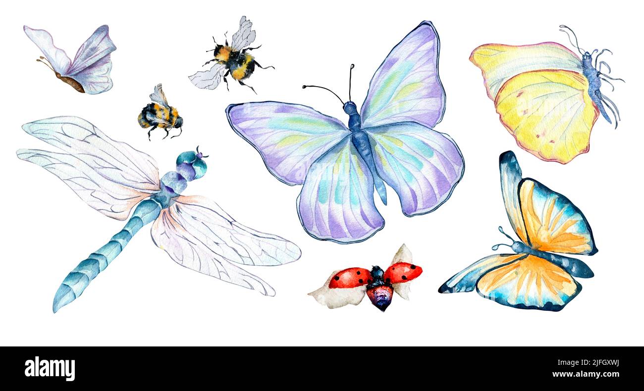 Set of grassland insects watercolor illustration on white. Butterflies ...