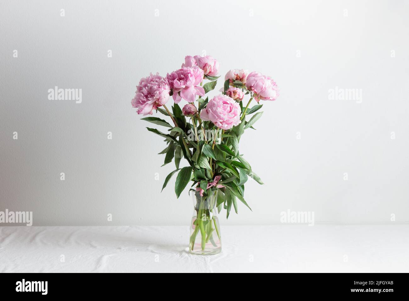 Beautiful bunch of fresh Pastel Pink peonies in full bloom in vase with ...