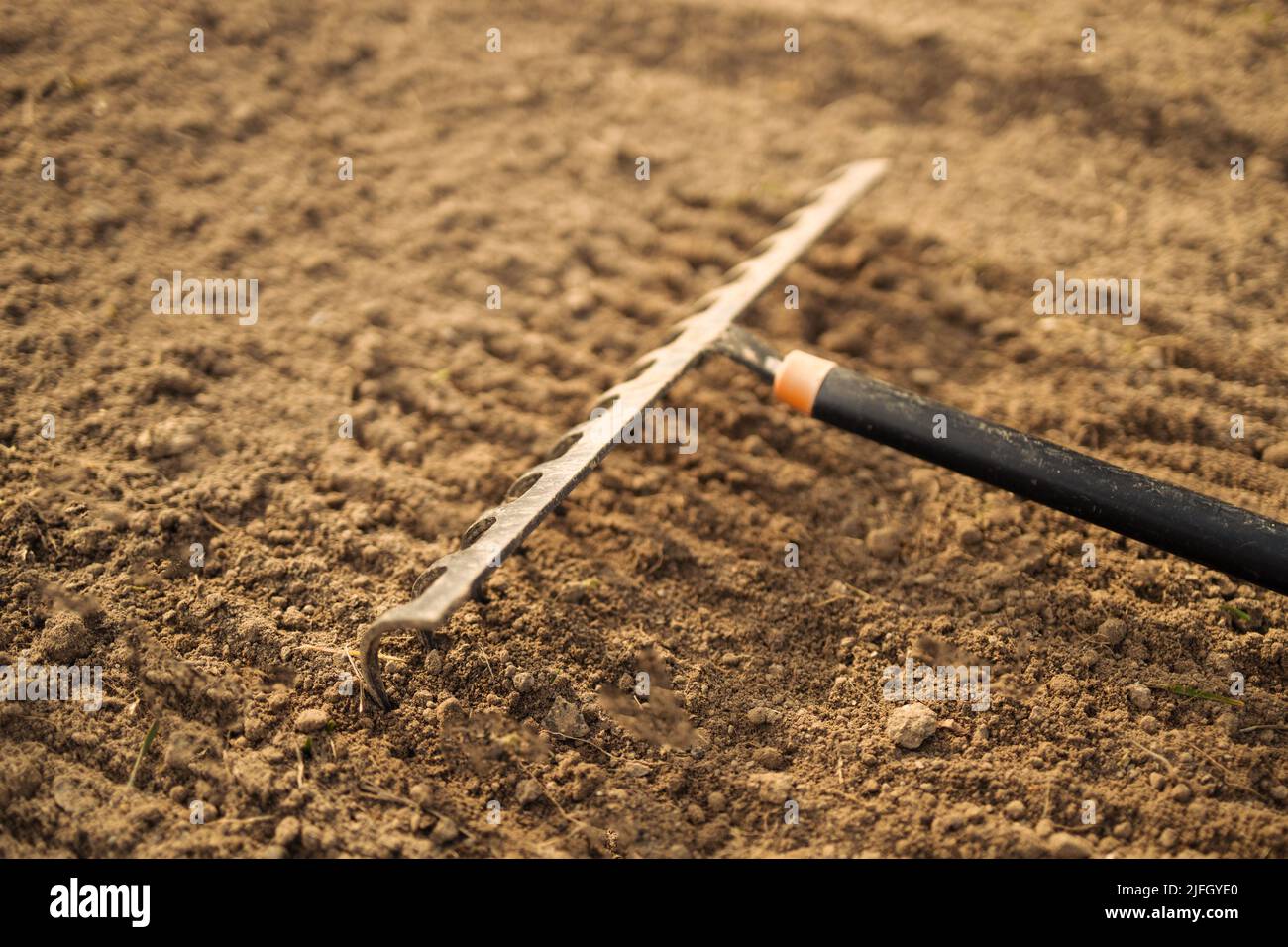 Close up of an new metal garden rake cleaning earth at spring time ...
