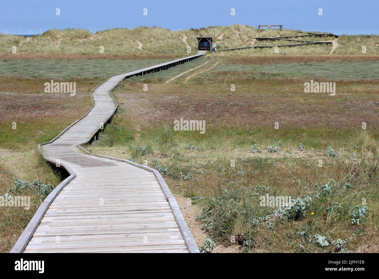 Boardwalk at Gronant Dunes SSSI Nature Reserve near Prestatyn, Wales ...