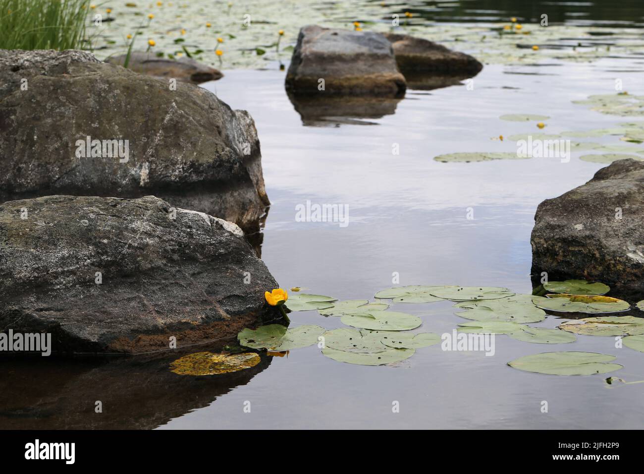 Calm water, big rocks, reflections of the sky, water lilies and other ...