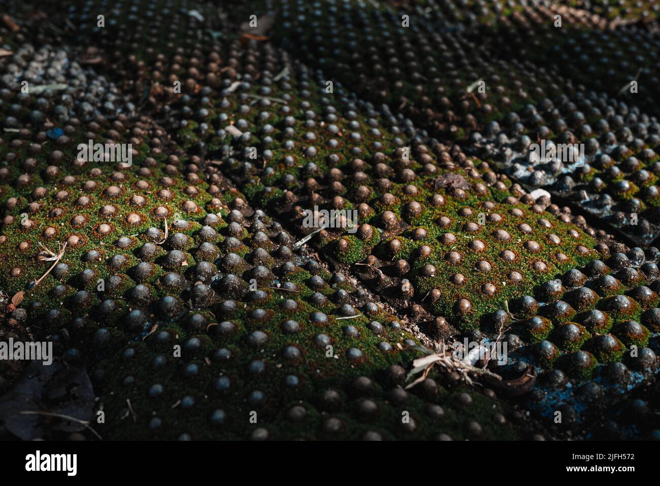 A texture of a walkway full with moss Stock Photo - Alamy