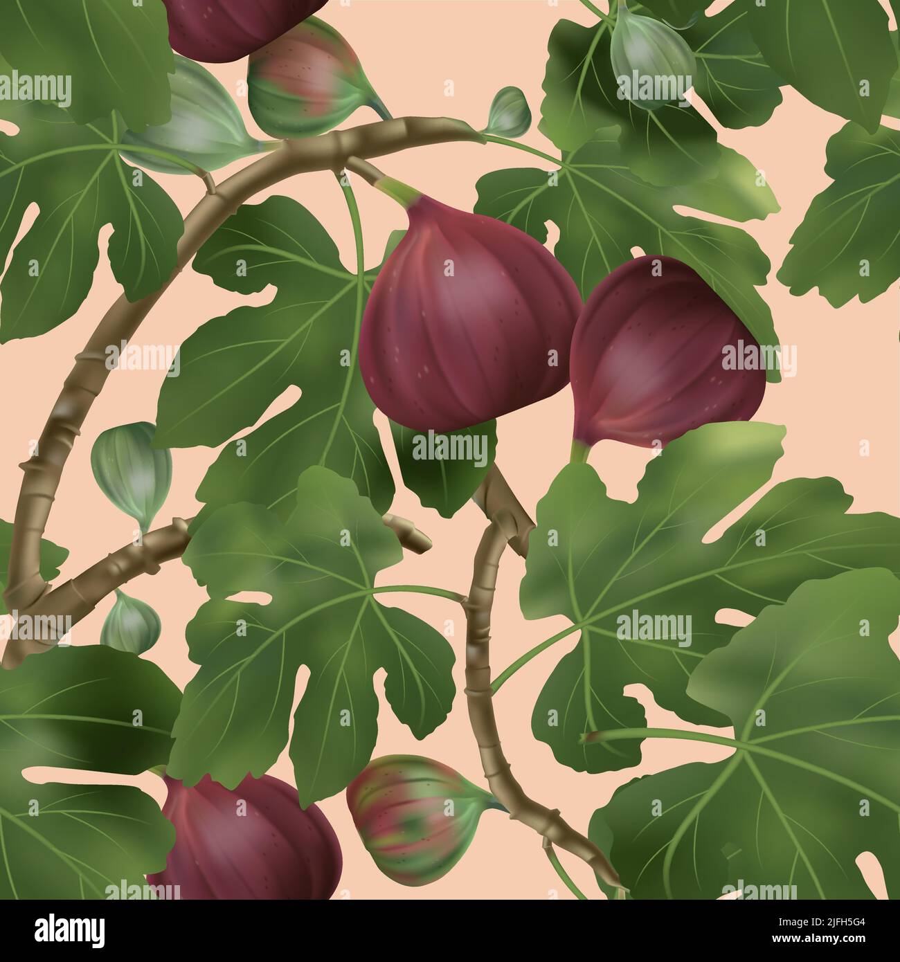 Vector 3D illustration Common Fig Tree Seamless Pattern in Coral ...