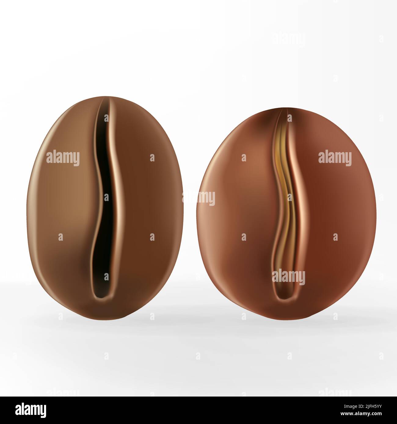 Vector Realistic Coffee Bean 3D illustration Stock Vector Image & Art ...