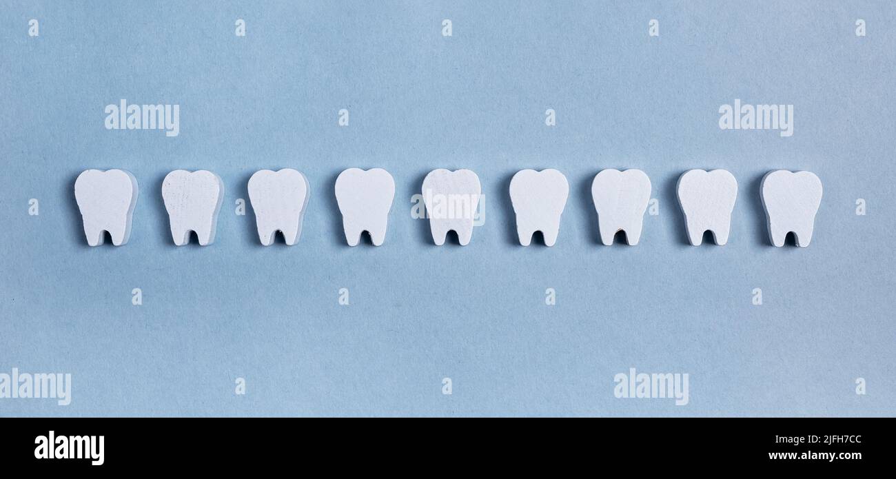 White healthy teeth row, models. Dental concept. High quality photo ...