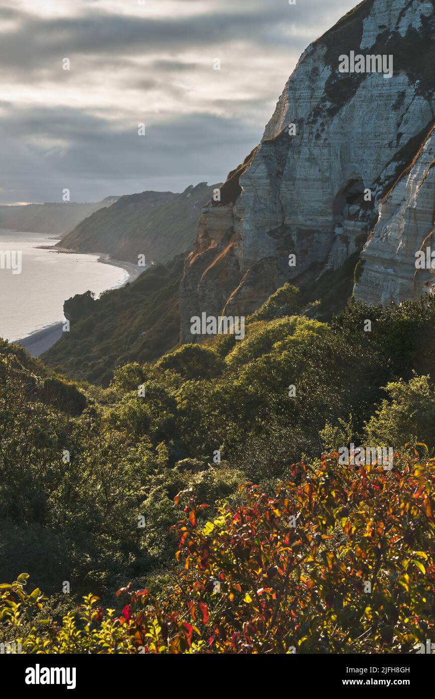 Beer devon sunset hi-res stock photography and images - Alamy