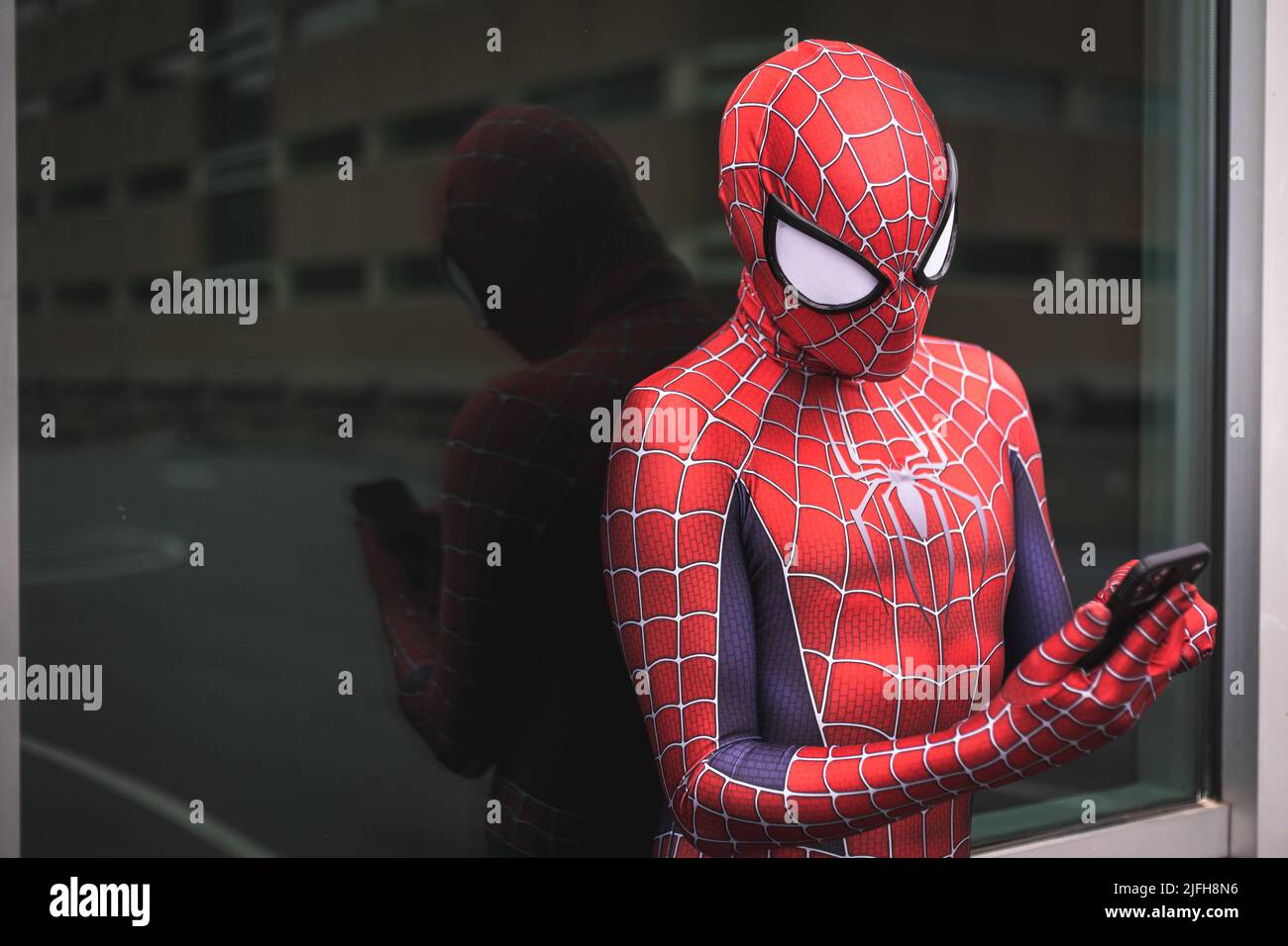 Spiderman looking at spider hi-res stock photography and images - Alamy
