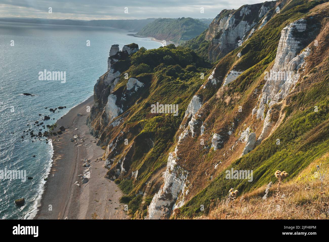 Landscape view of the chalk cliffs of "The Hooken, SWCP, Devon Stock ...
