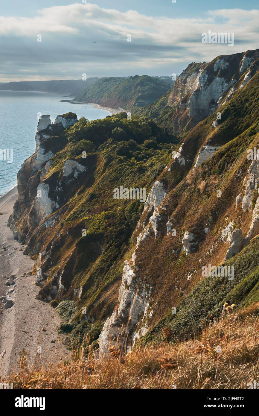 Portrait view of the chalk cliffs of "The Hooken, SWCP, Devon Stock ...