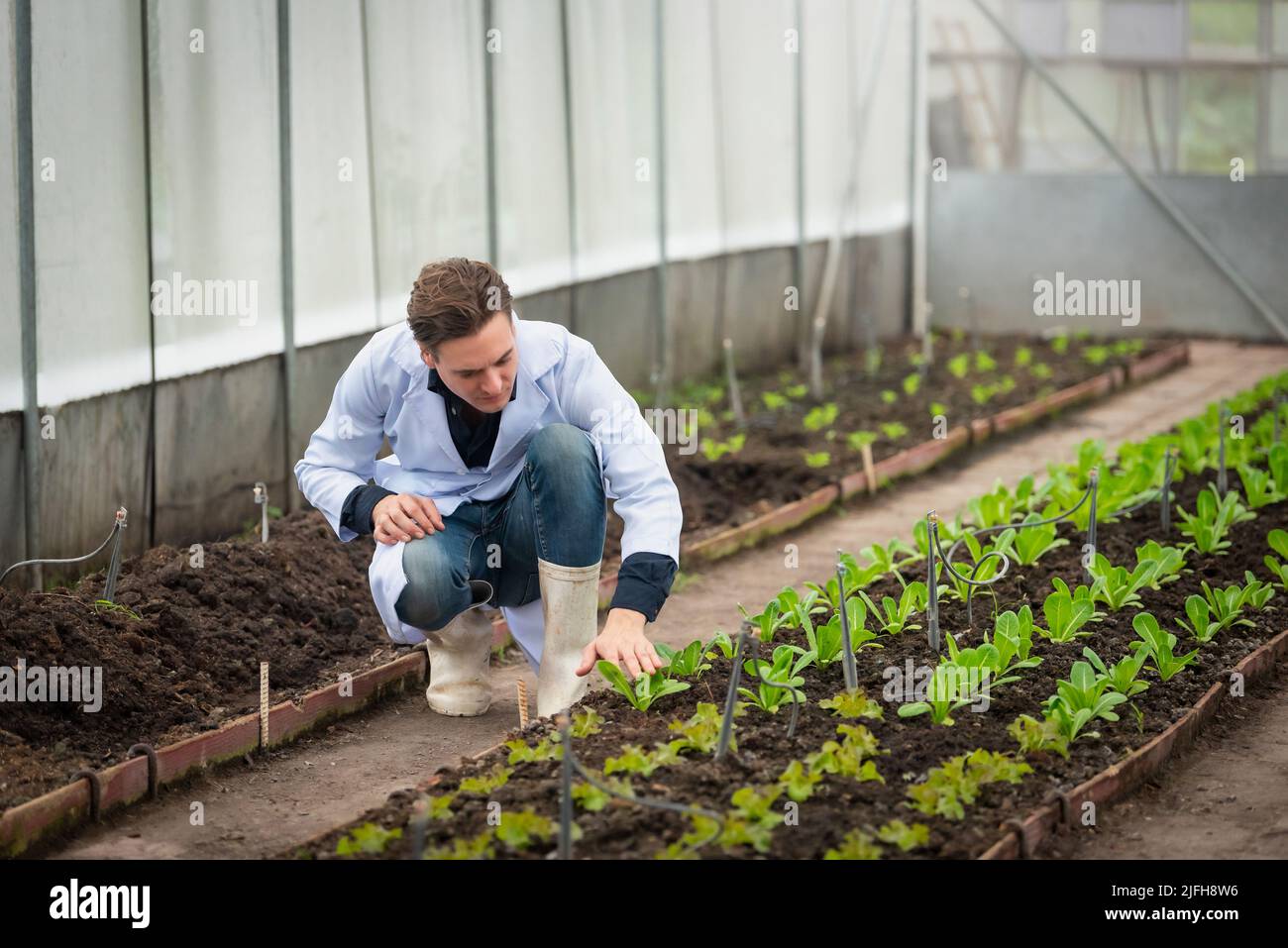 Portrait of handsome agricultural researcher working on research at ...