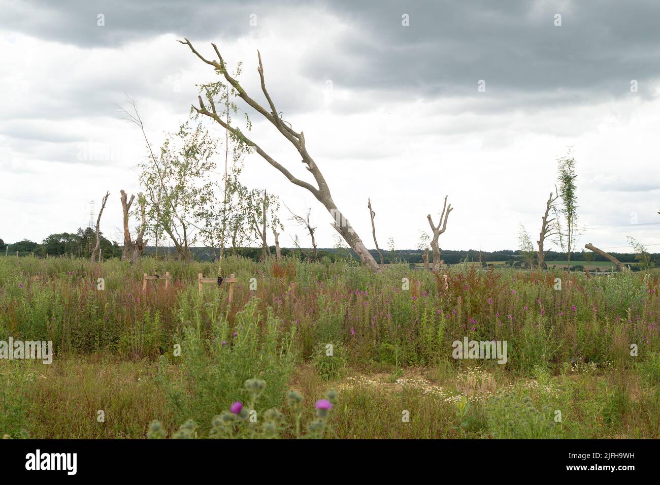 Hedge destruction uk hi-res stock photography and images - Alamy