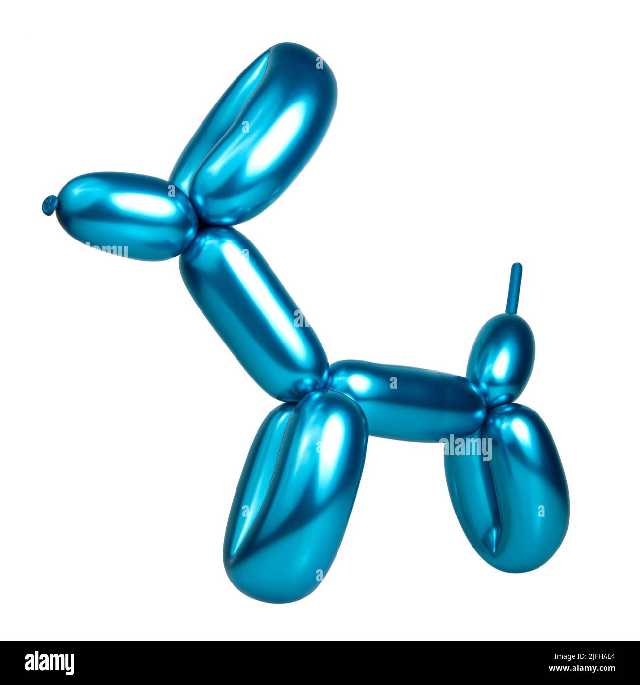 Party balloon dog toy isolated on the white background Stock Photo - Alamy
