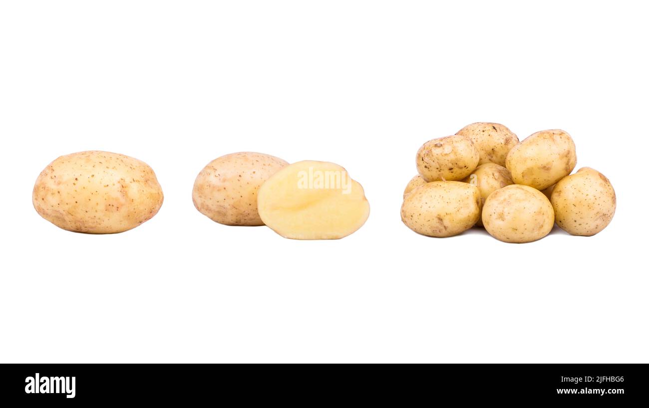 Young potato isolated on white background. Harvest new. Flat lay, Set ...