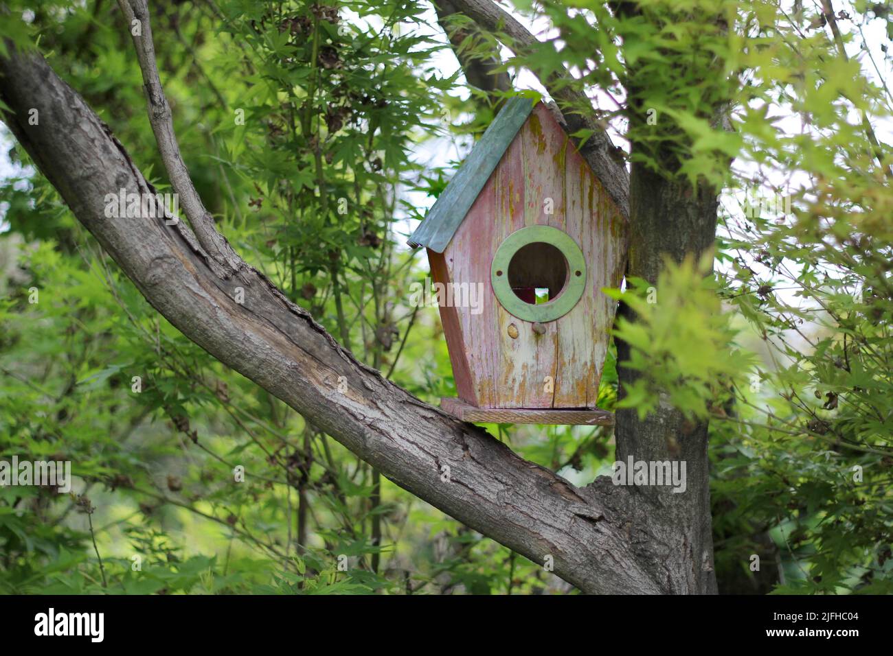 Mounted to a tree hi-res stock photography and images - Alamy