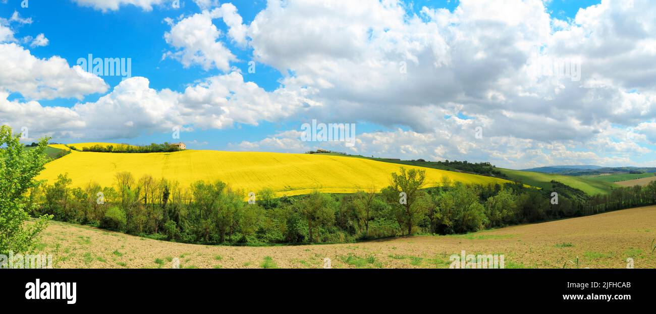 Beautiful countryside landscape, yellow field Stock Photo - Alamy