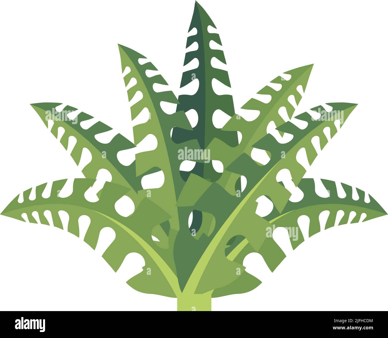 Cartoon fern. Green ancient forest natural plant Stock Vector Image ...