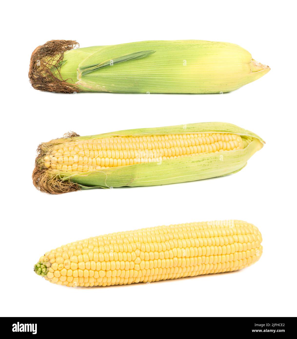 Corn isolated. Corns on white. Sweet corn with clipping path Stock ...