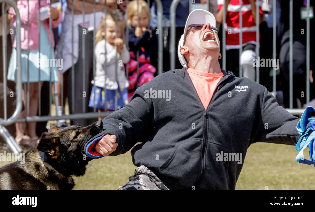 Police dog display hi-res stock photography and images - Alamy