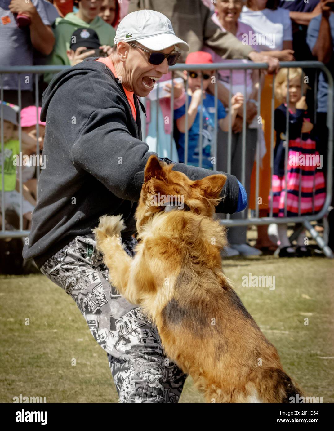 Police dog display hi-res stock photography and images - Alamy