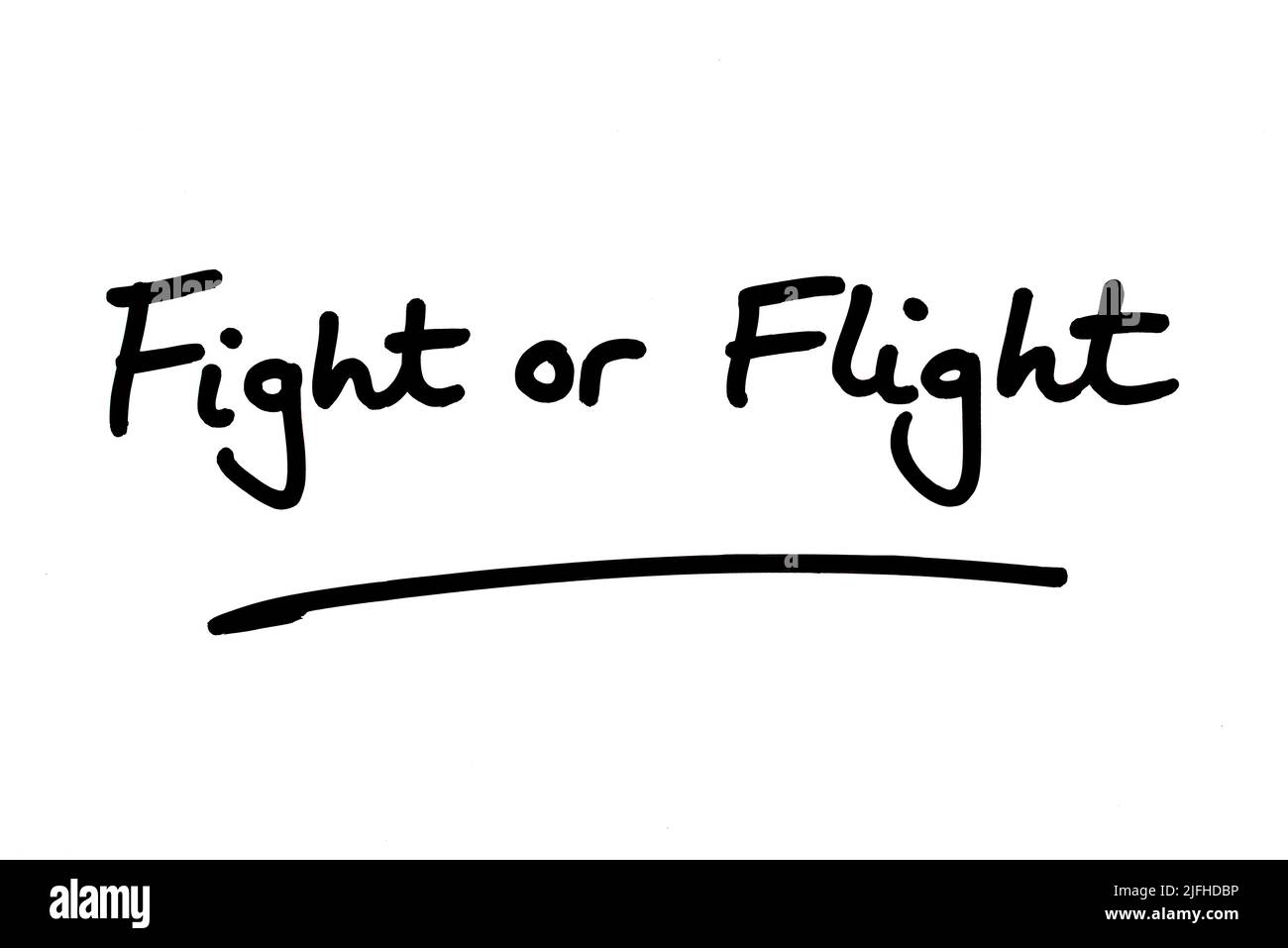 Hancock Game Fight Or Flight