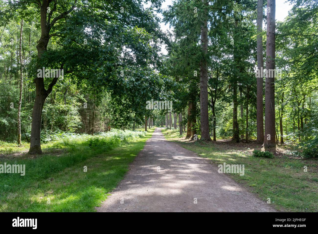 Country footpaths hi-res stock photography and images - Alamy
