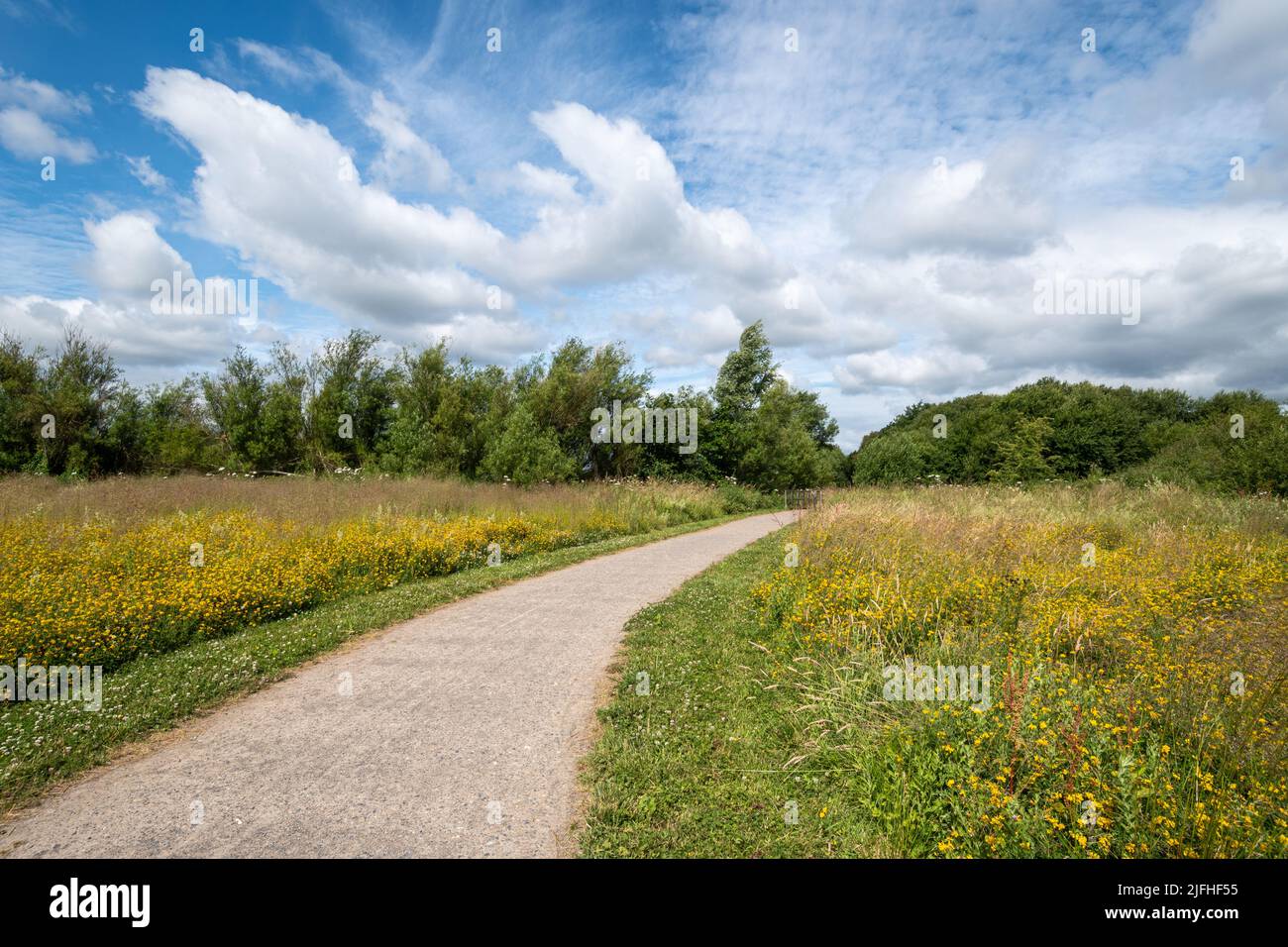 Edenbrook Country Park near Fleet, Hampshire, England, UK Stock Photo ...