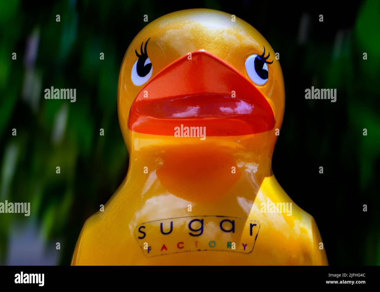 Yellow duckie hi-res stock photography and images - Alamy