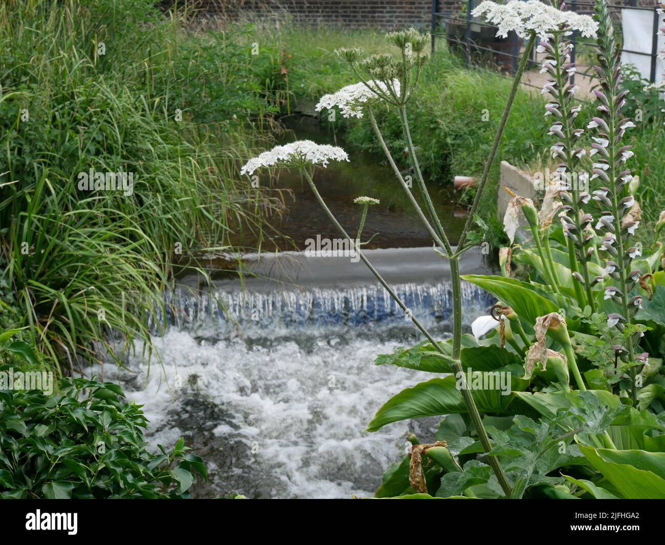 Morden Hall Park, Surrey Stock Photo - Alamy