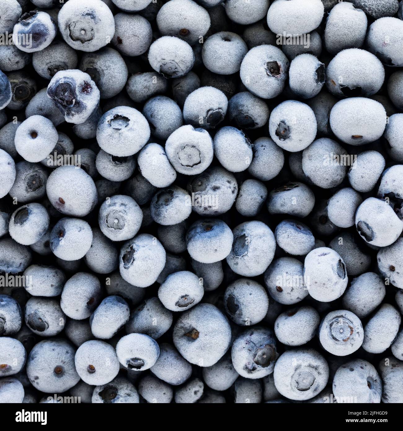 Top down macro view of frozen blueberries thawing out Stock Photo - Alamy