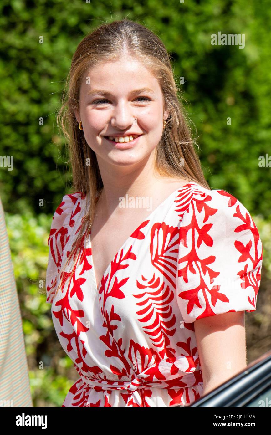 Crown Princess Leonor of Spain attending a work session on the new ...