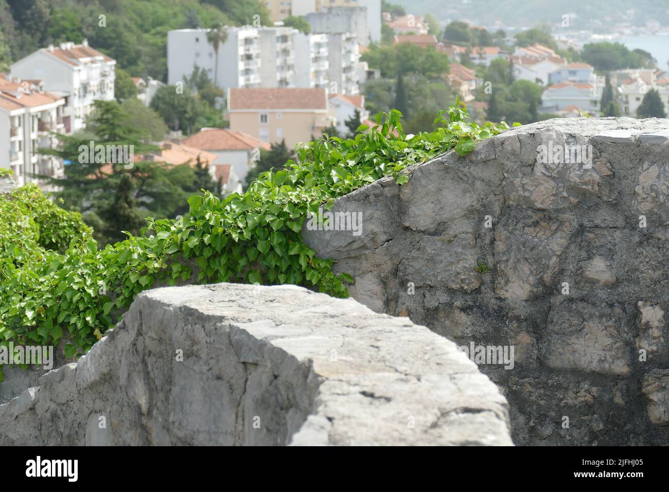 A stone wall covered with greenery and buildings in the background in ...