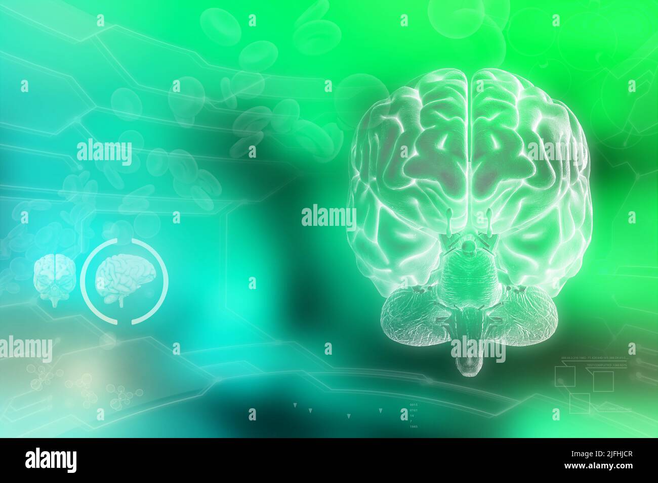 Brain Illustration Texture